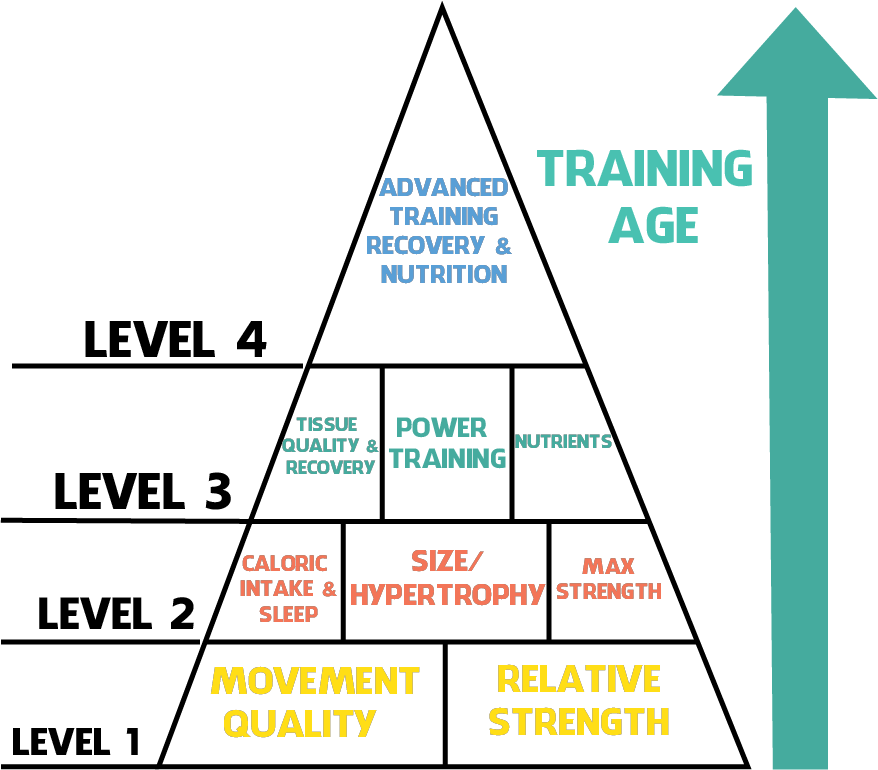 A Hierarchy of Baseball Training Needs - Driveline Baseball
