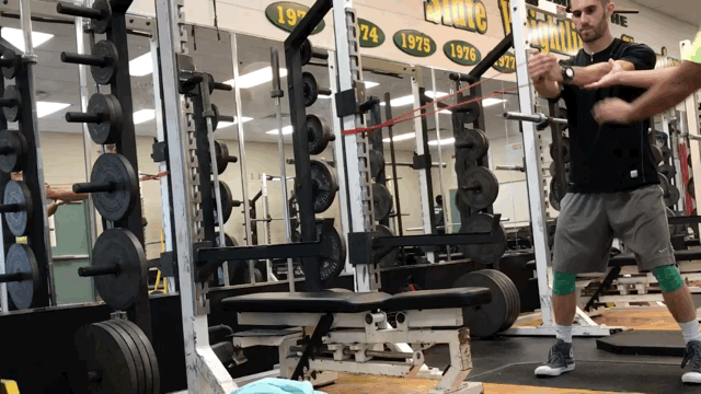 "Core Training” – What It Is and How to Progress It – Part II ...