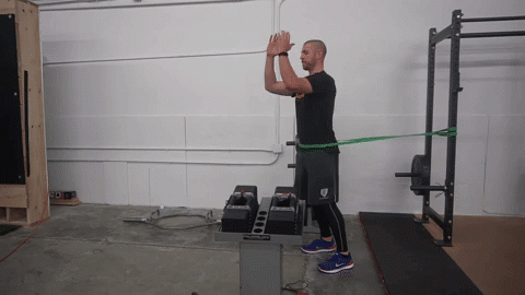 Phasic Loading: Eccentric Overload Programming Considerations ...
