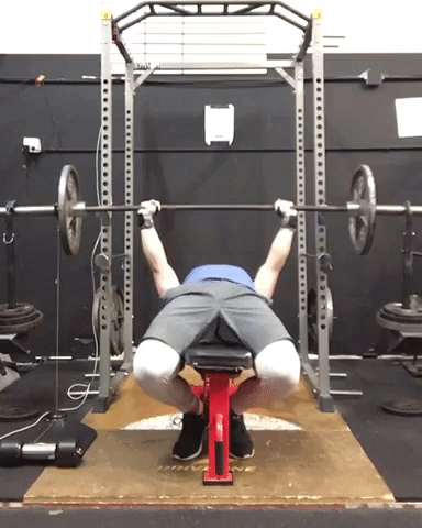 Phasic Loading: Eccentric Overload Programming Considerations ...