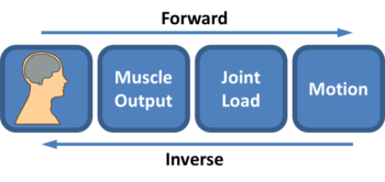 Pitching Biomechanics: A More Forward Approach