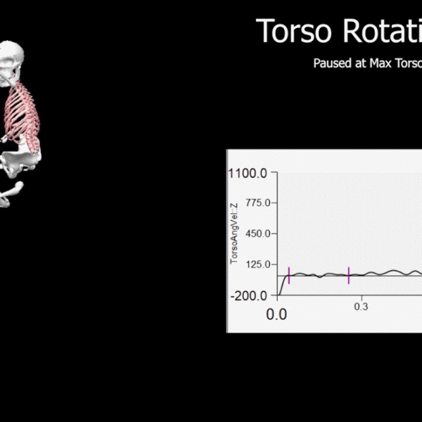 Education Archives | Driveline Baseball